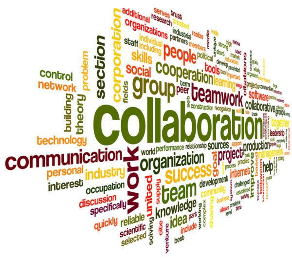 Skills and capacities that support collective action ...